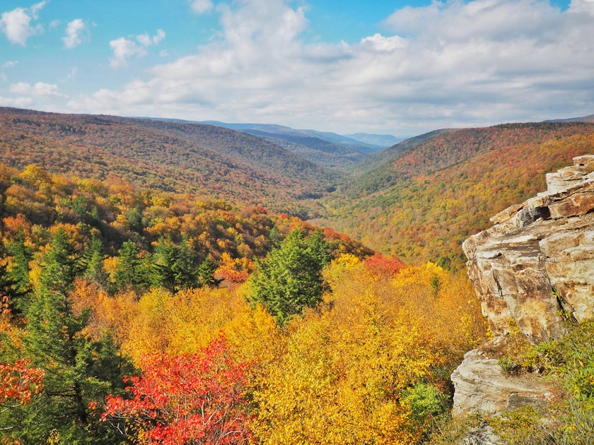 Hike to Rohrbaugh Cliffs in Dolly Sods, Rohrbaugh Plains Trailhead
