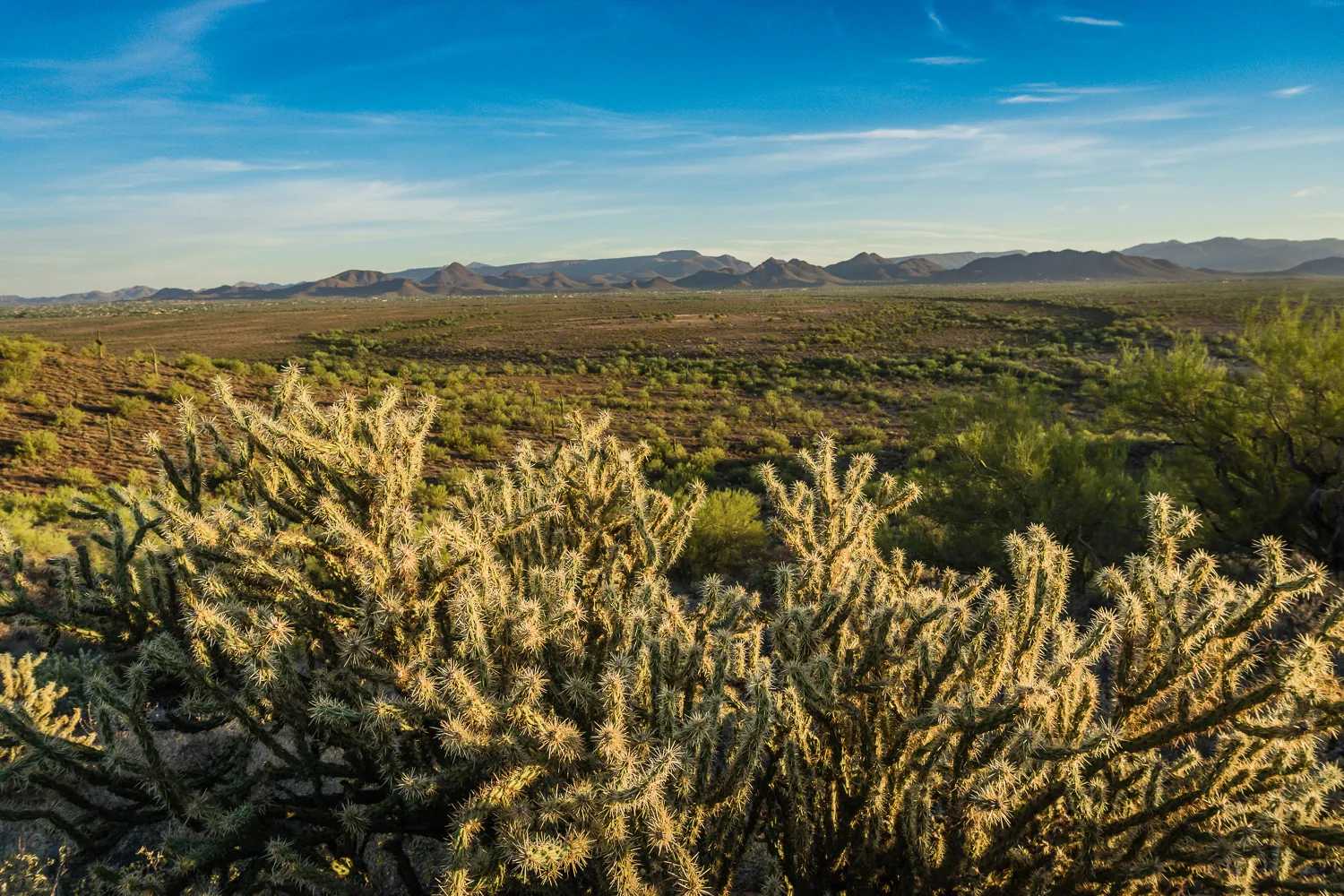 Apache Wash Loop Trail, Phoenix, Arizona