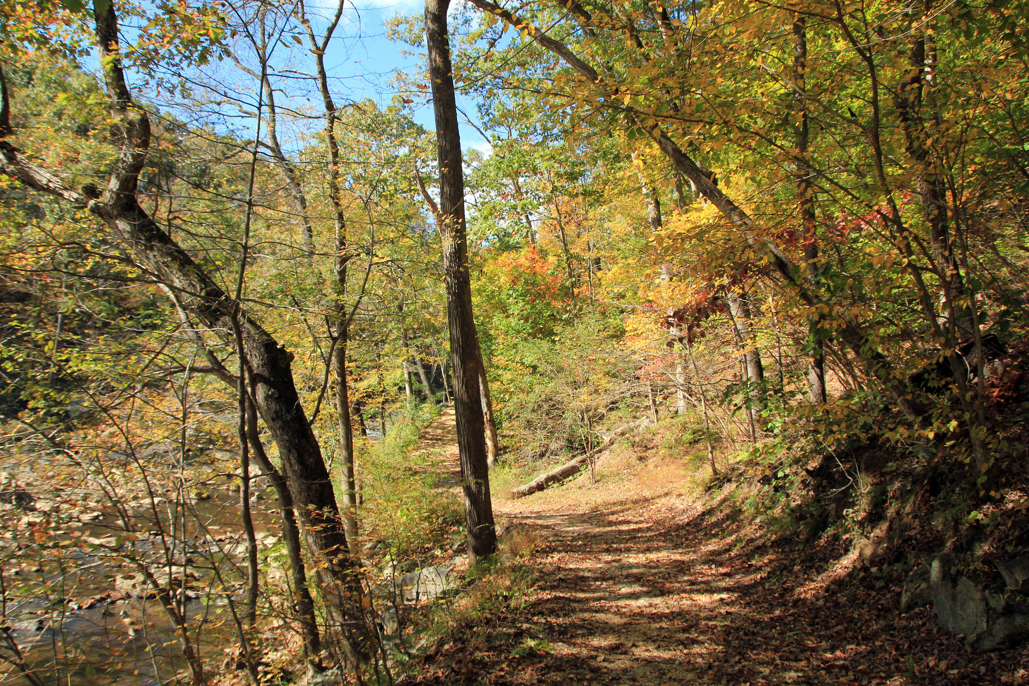 Difficult Run, Ridge, and River Trails, McLean, Virginia
