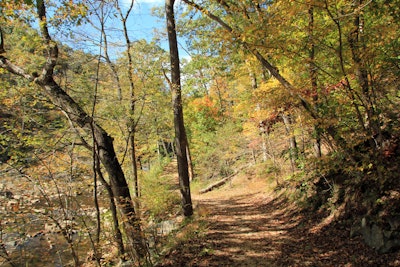 Hike Difficult Run in Great Falls, Difficult Run