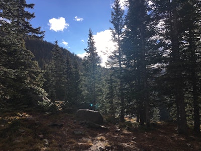 Camp at Jones Pass, Jones Pass Road