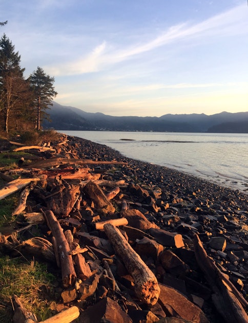 Explore Bayocean Peninsula Park , Bayocean Peninsula Park