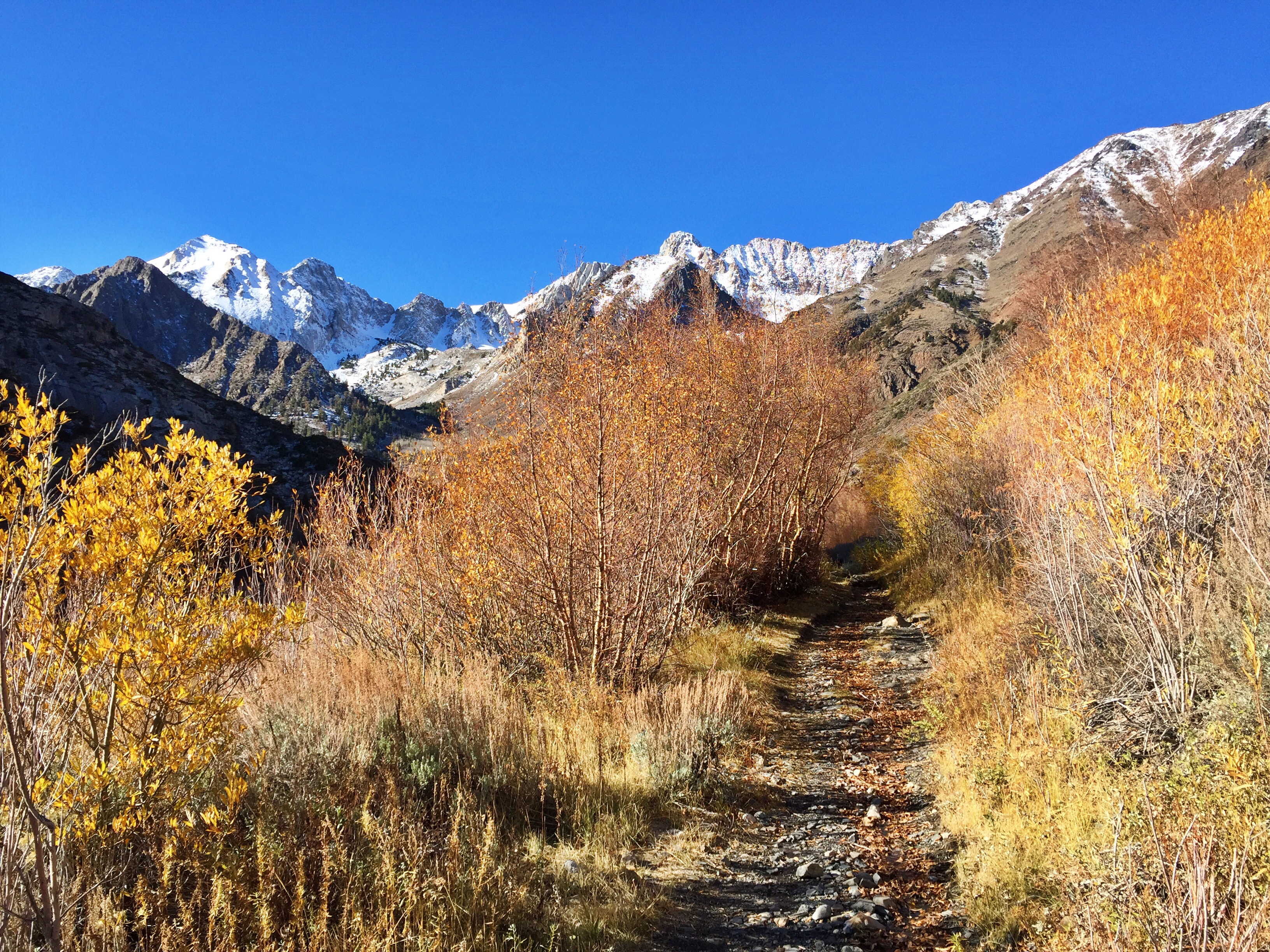 Steelhead Lake via McGee Creek, Mammoth Lakes, California