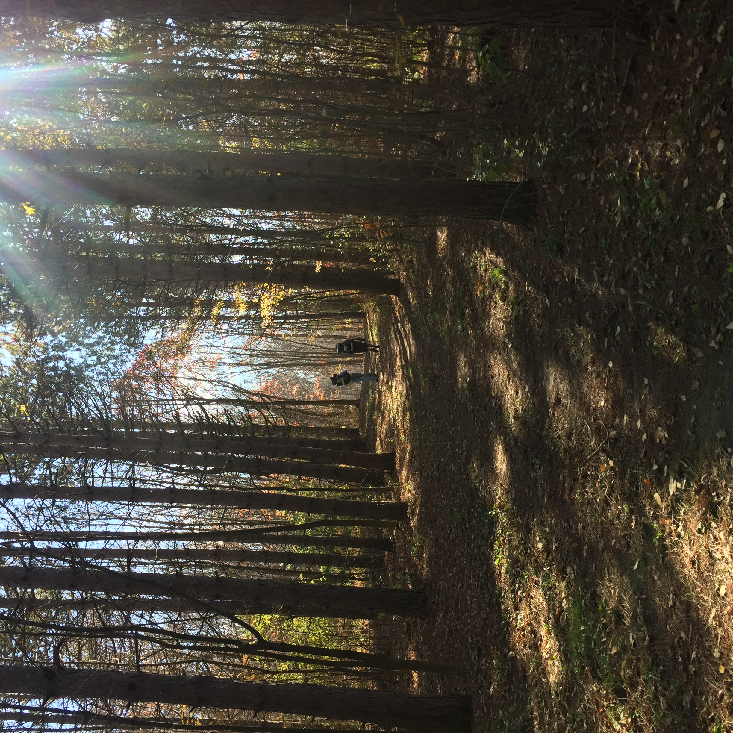 Backpack the Milwaukee River and Butler Lake Segments of the Ice Age ...