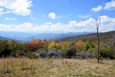 Backpack to Spence Field , Anthony Creek Trailhead