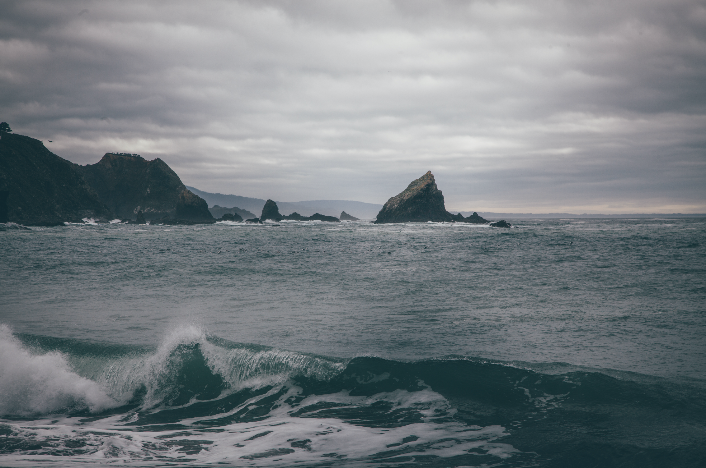 Explore Navarro Beach, Albion, California