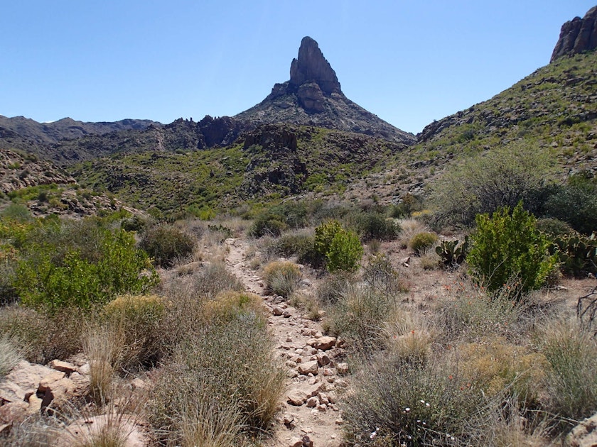 Hike the Weavers Needle Loop, Gold Canyon, Arizona