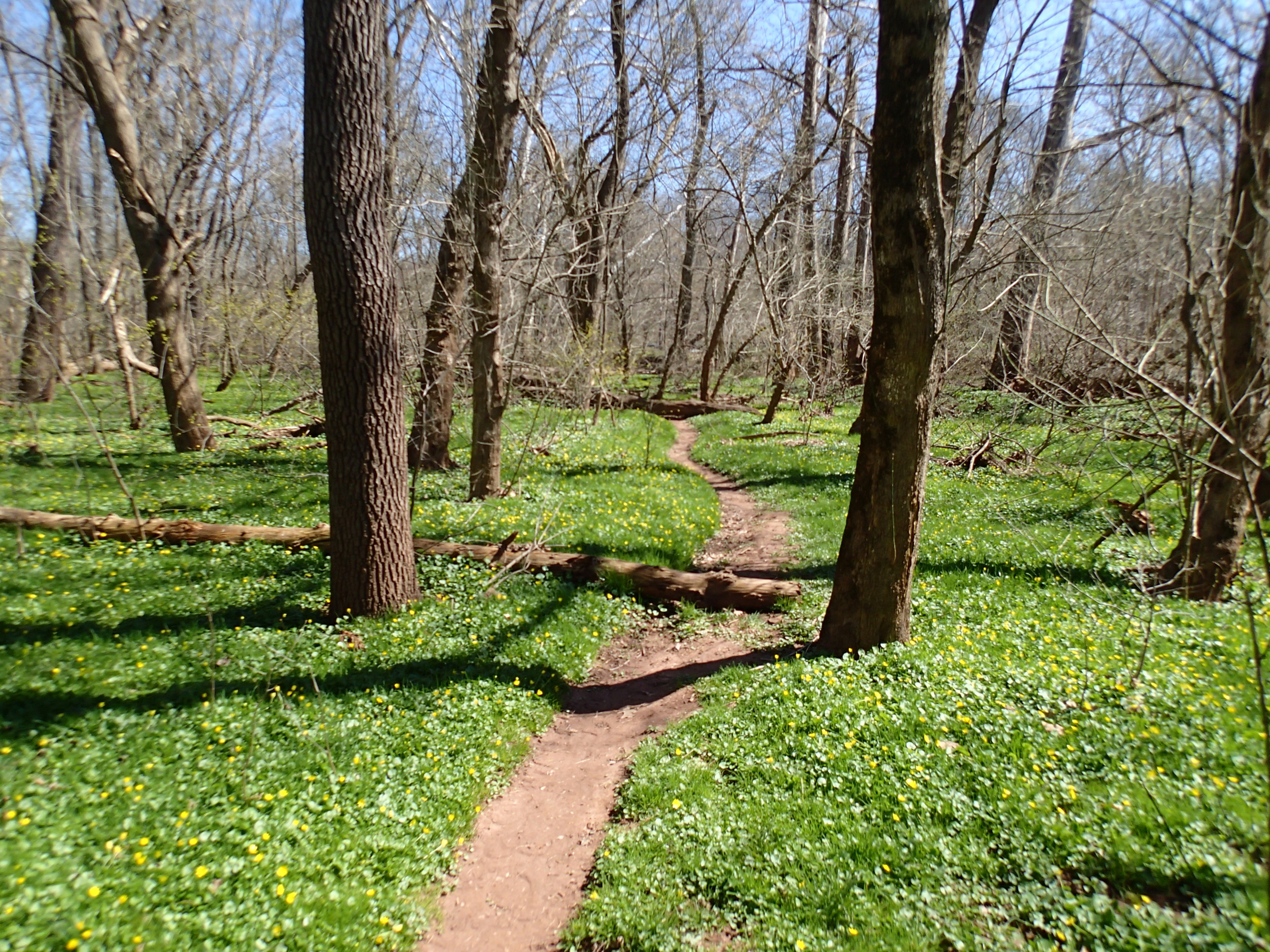 Hike the Skippack Creek Trail, Collegeville, Pennsylvania