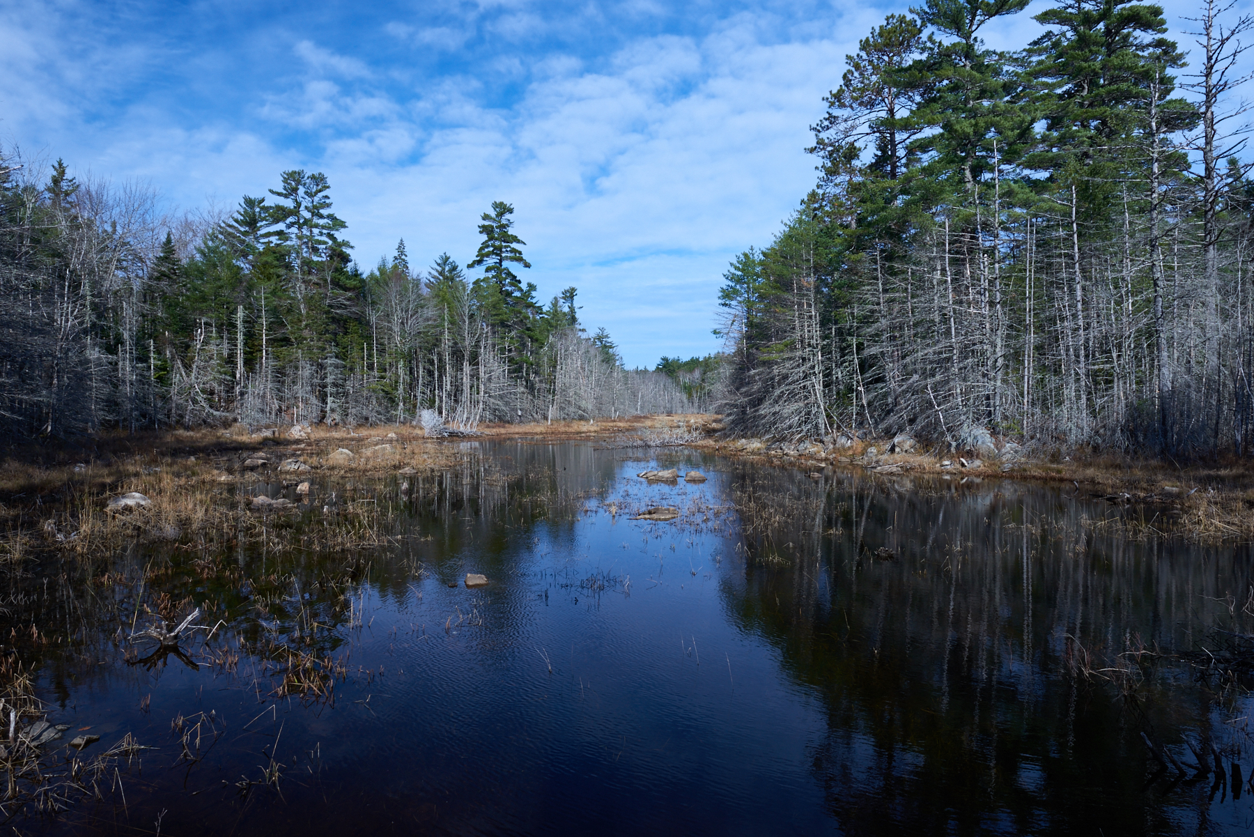 Hike to Cranberry Lake in Moosehorn NWR, Baring, Maine
