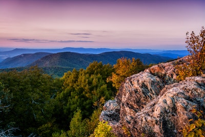 Hike Frazier Discovery Trail, Frazier Discover Trail