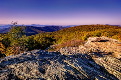 Hike Frazier Discovery Trail, Frazier Discover Trail