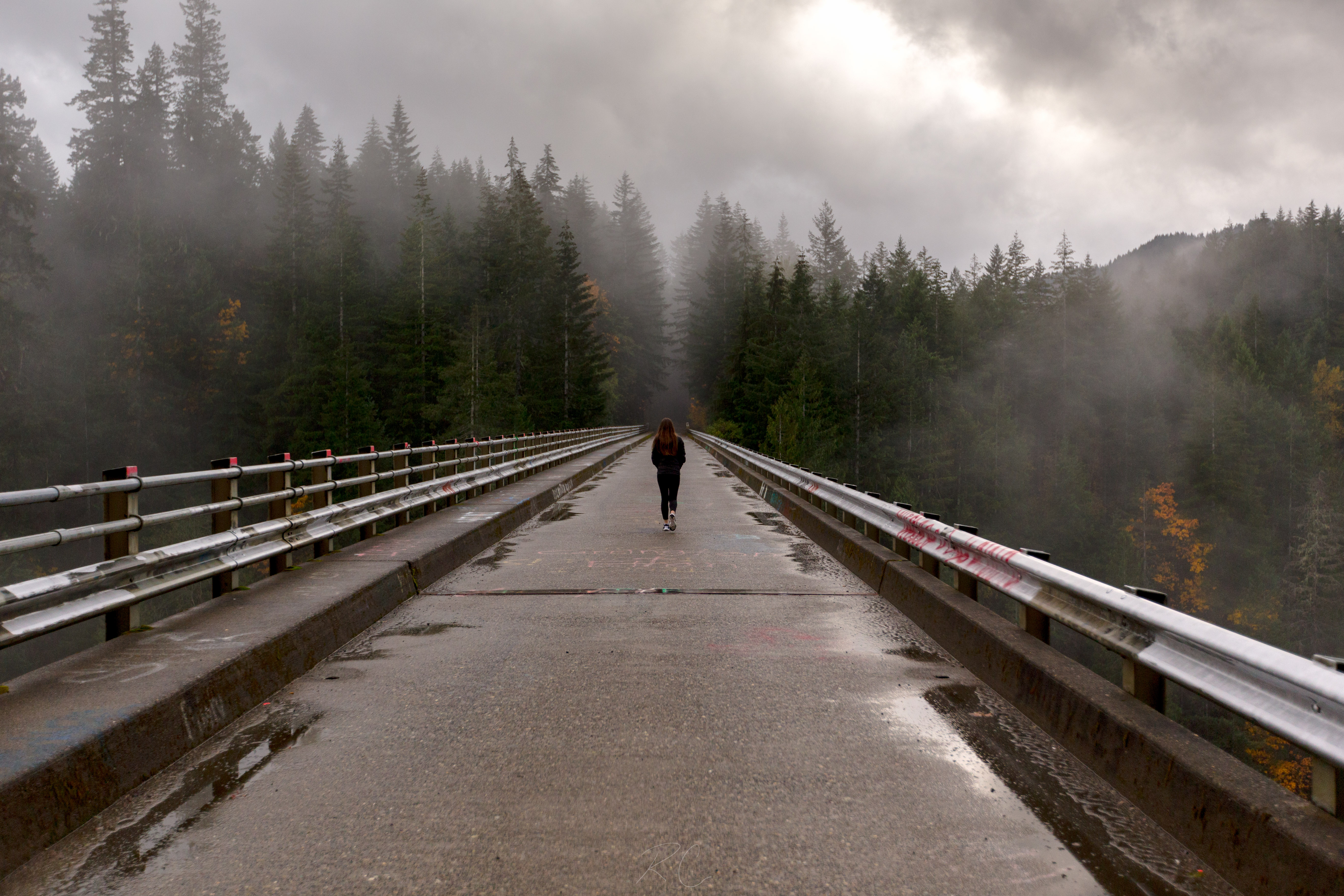 Photos: Explore High Steel Bridge, Mason County, Washington