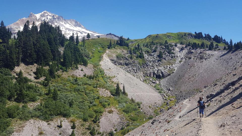 Hike Paradise Park, Government Camp, Oregon