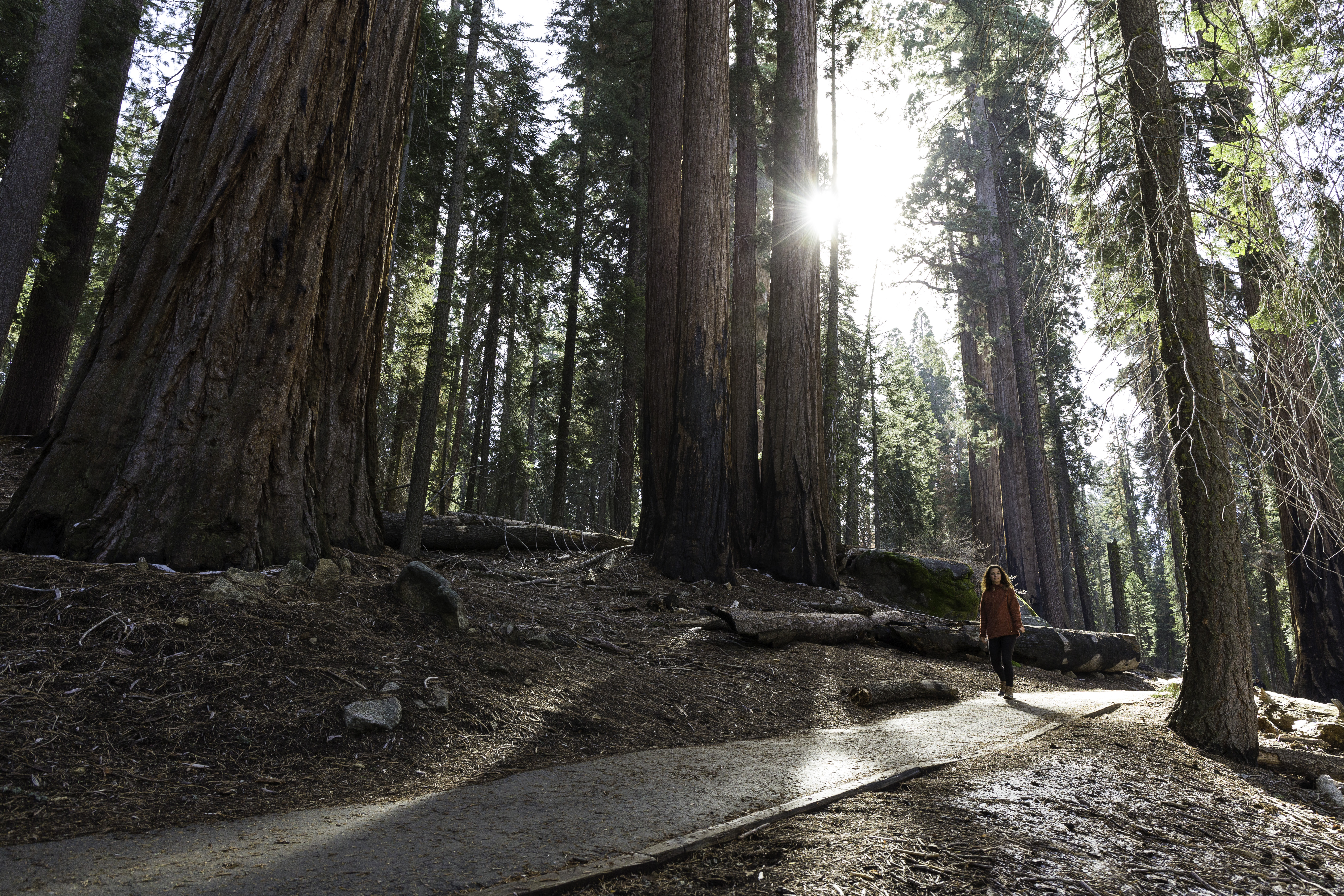 Photo of The Congress Trail