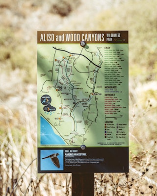 Climb Aliso Peak via the Valido Trail, Valido Trail