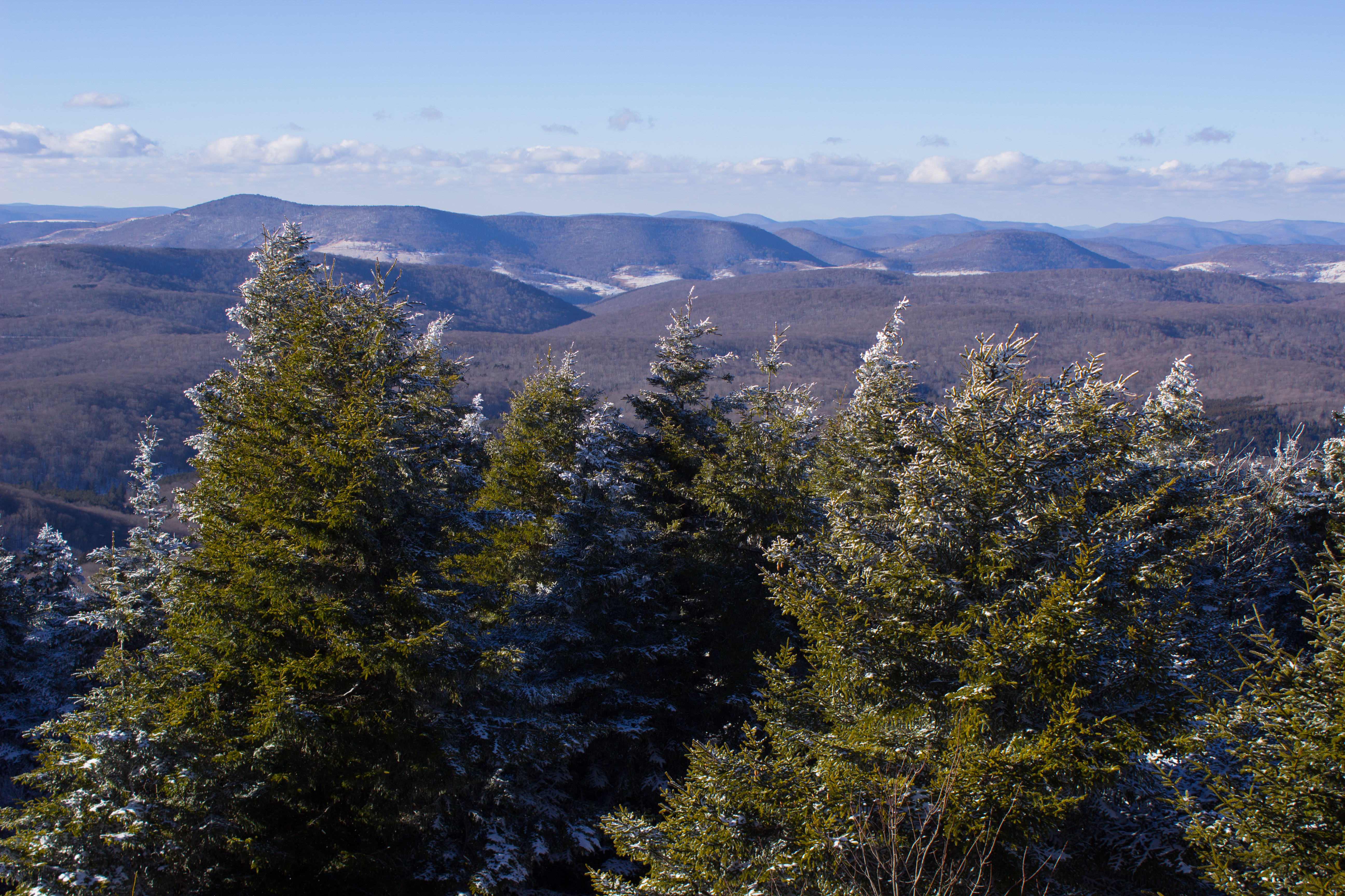 Explore the Spruce Knob Observation Tower, Riverton, West Virginia