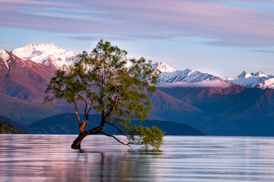 Hike Lake Wanaka and Photograph the Famous Tree, Millenium Track
