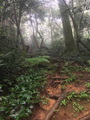 Hike the Morne Blanc Trail, Sans Soucis Road, Mahe