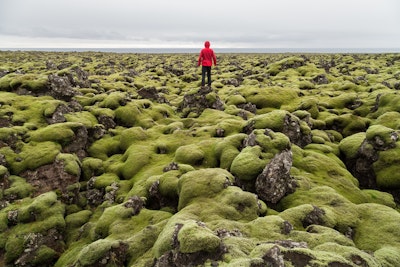 Explore the Mossy Lava Fields near Grindavik, Mossy Lava Field