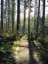 Walk the Canemah Bluff Loop, Oregon City, Oregon