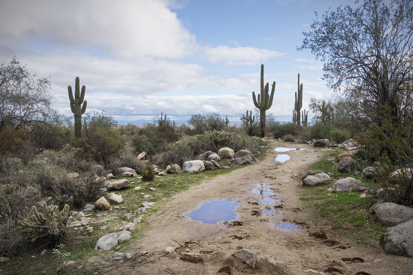 Hike Goat Camp Trail, Waddell, Arizona