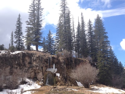 Camp at Bluff Springs, Bluff Springs, Lincoln National Forest