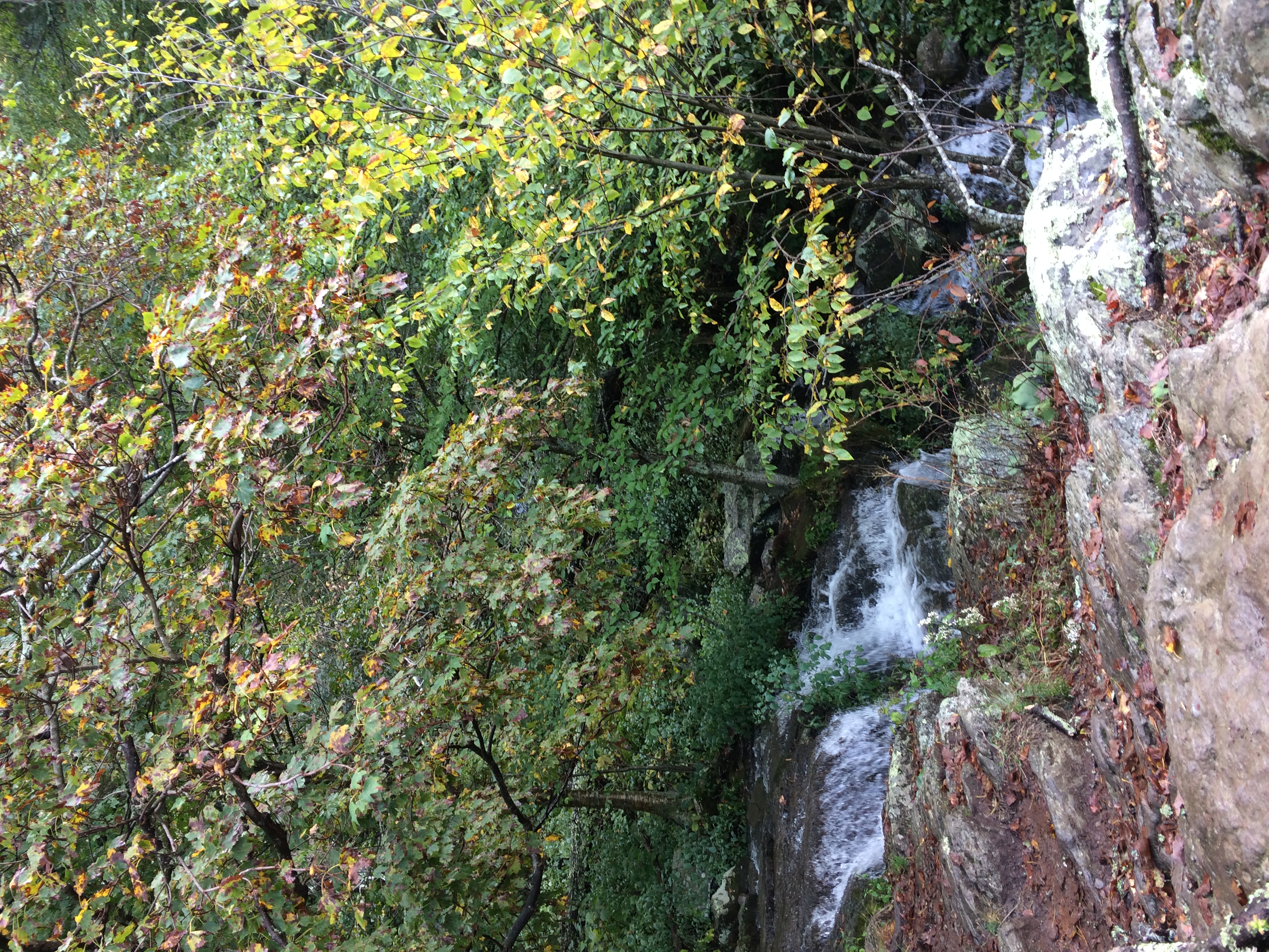 Lewis Falls via Lewis Spring, Stanley, Virginia