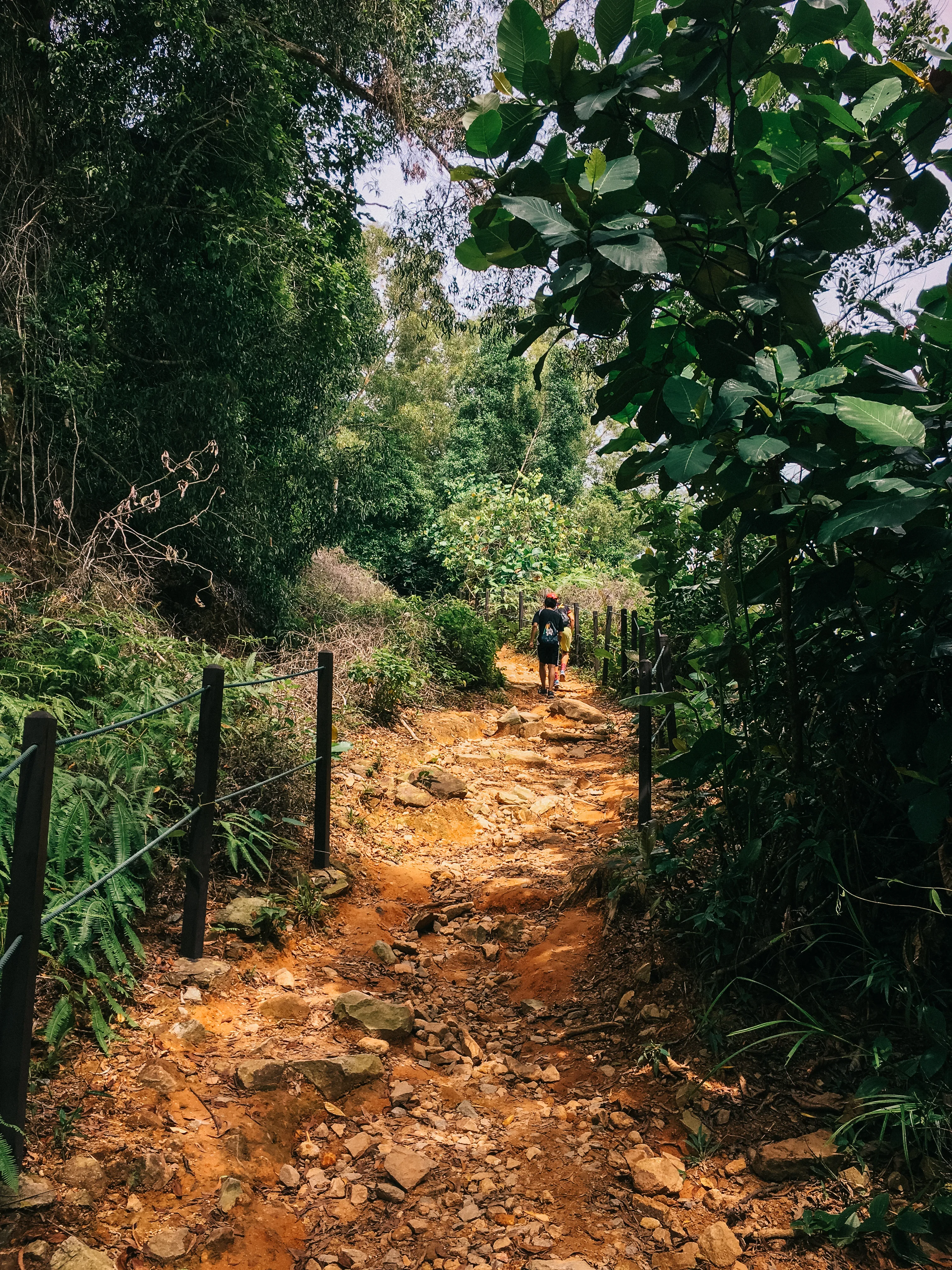 Hike up Puaka Hill, 224J, Singapore