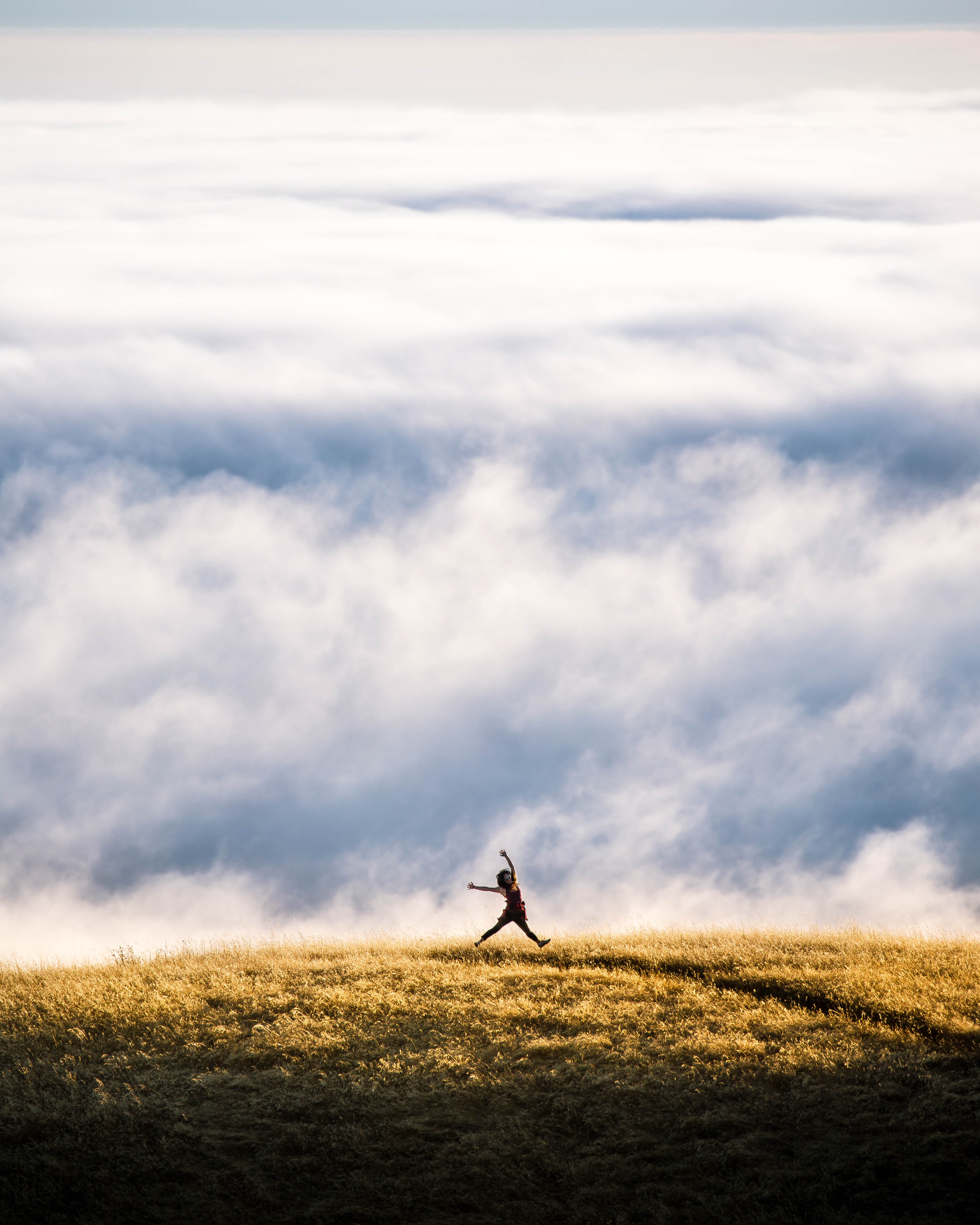 Photos: Trojan Point, Mill Valley, California