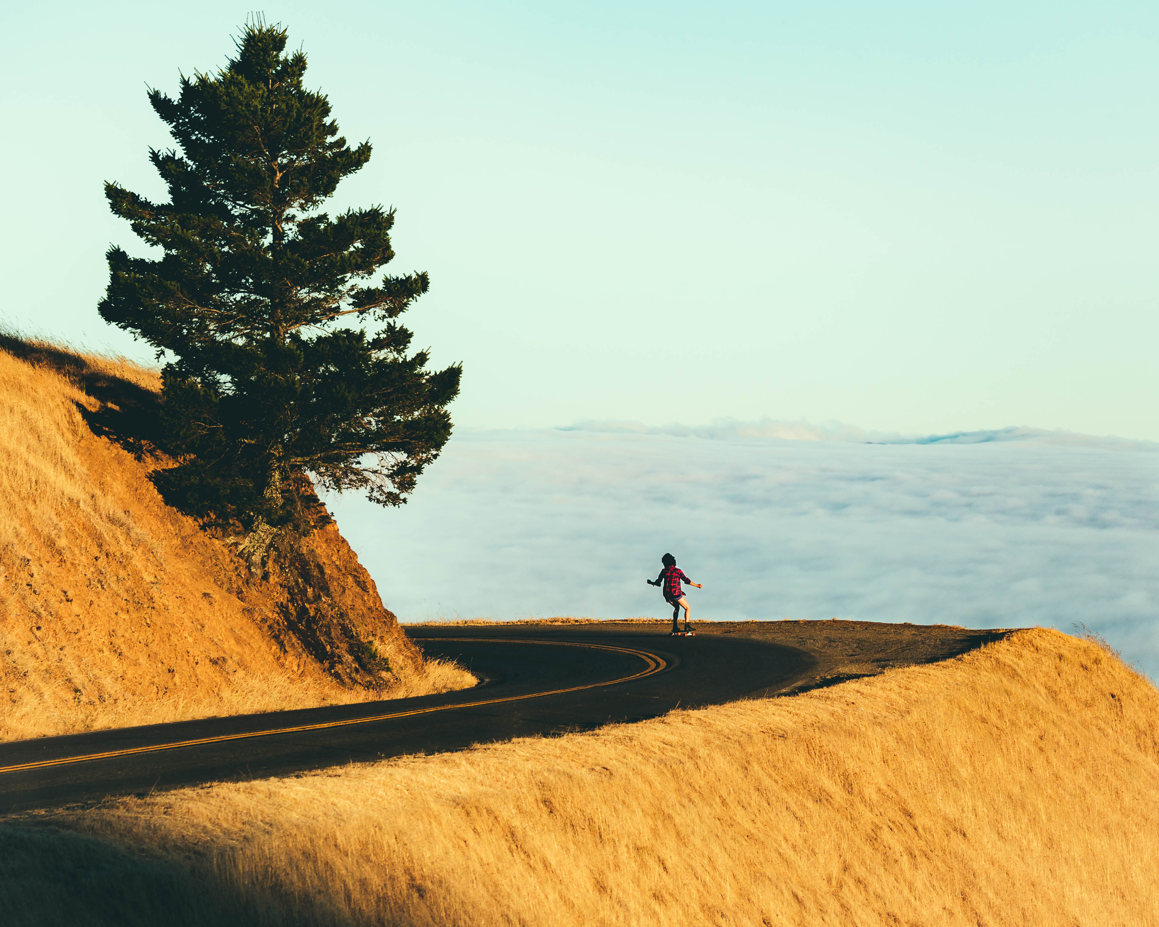 Photos: Trojan Point, Mill Valley, California