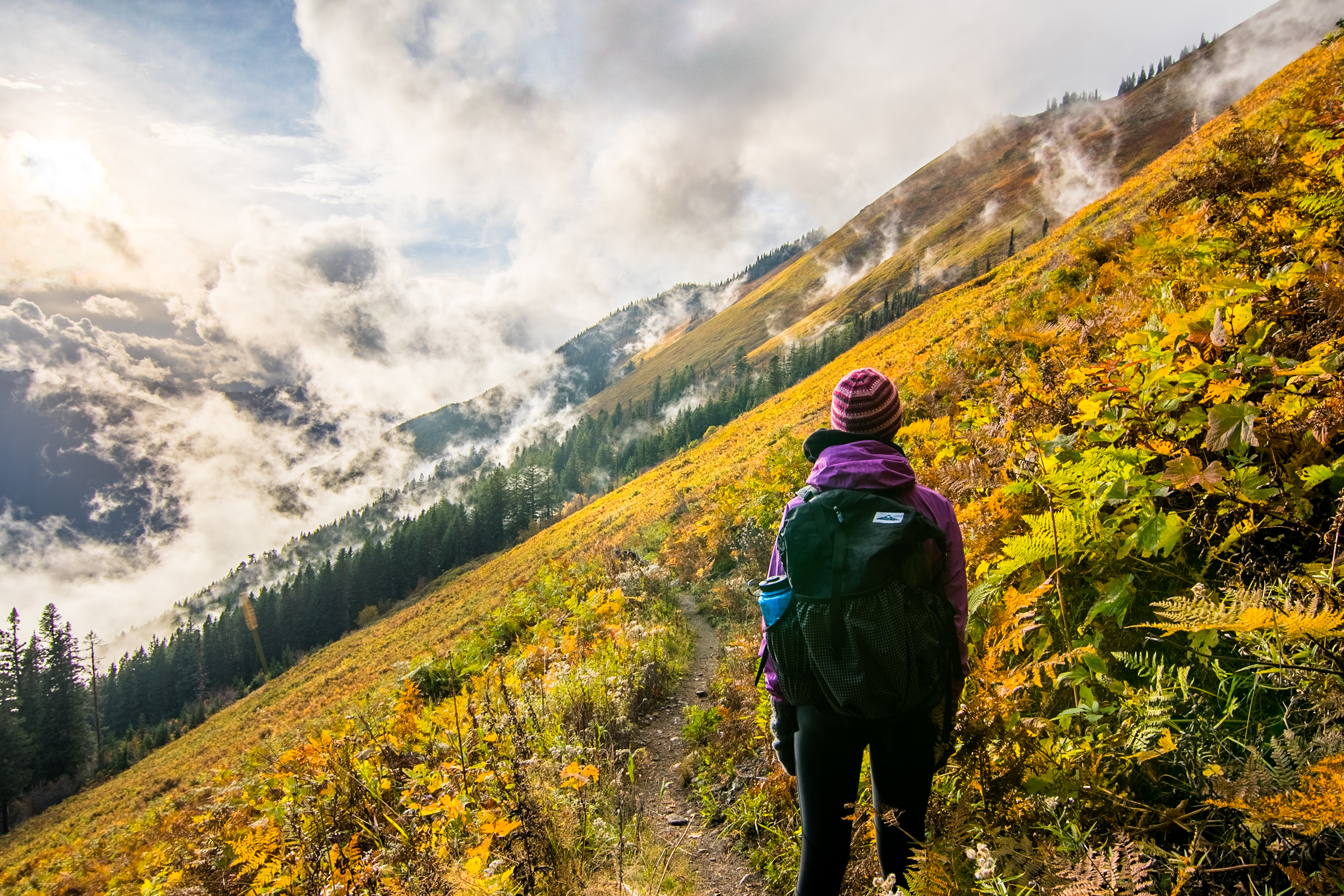 Hike to Green Mountain, Darrington, Washington