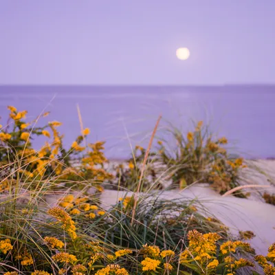 Hike Gooseberry Island, Gooseberry Island
