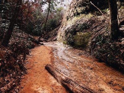 Hike Red Bluff , Red Bluff Trailhead