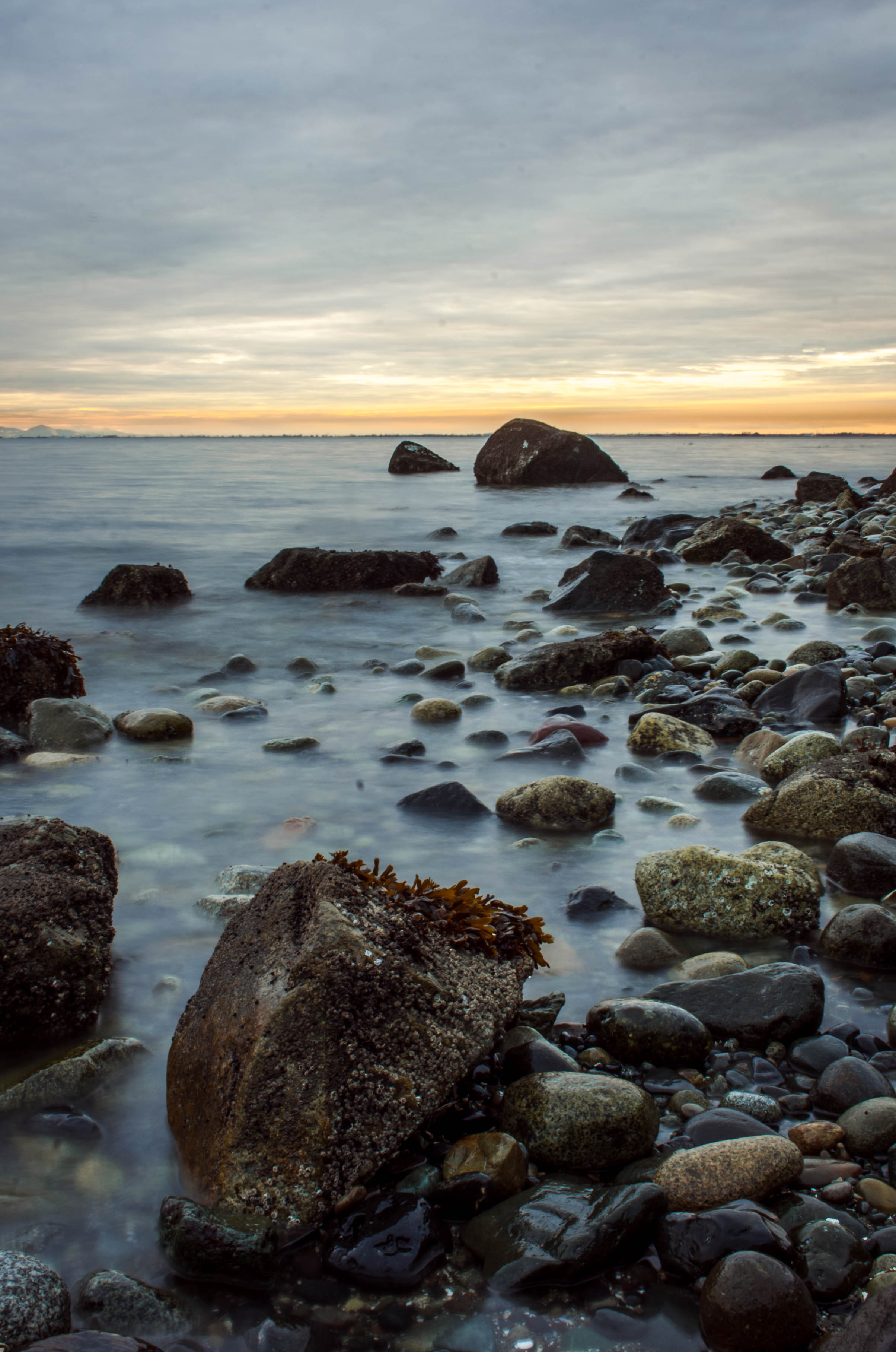 1001 Steps Trail , Surrey, British Columbia