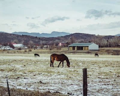 Hike the North Loop via Foothills Trail, Foothills Trailhead