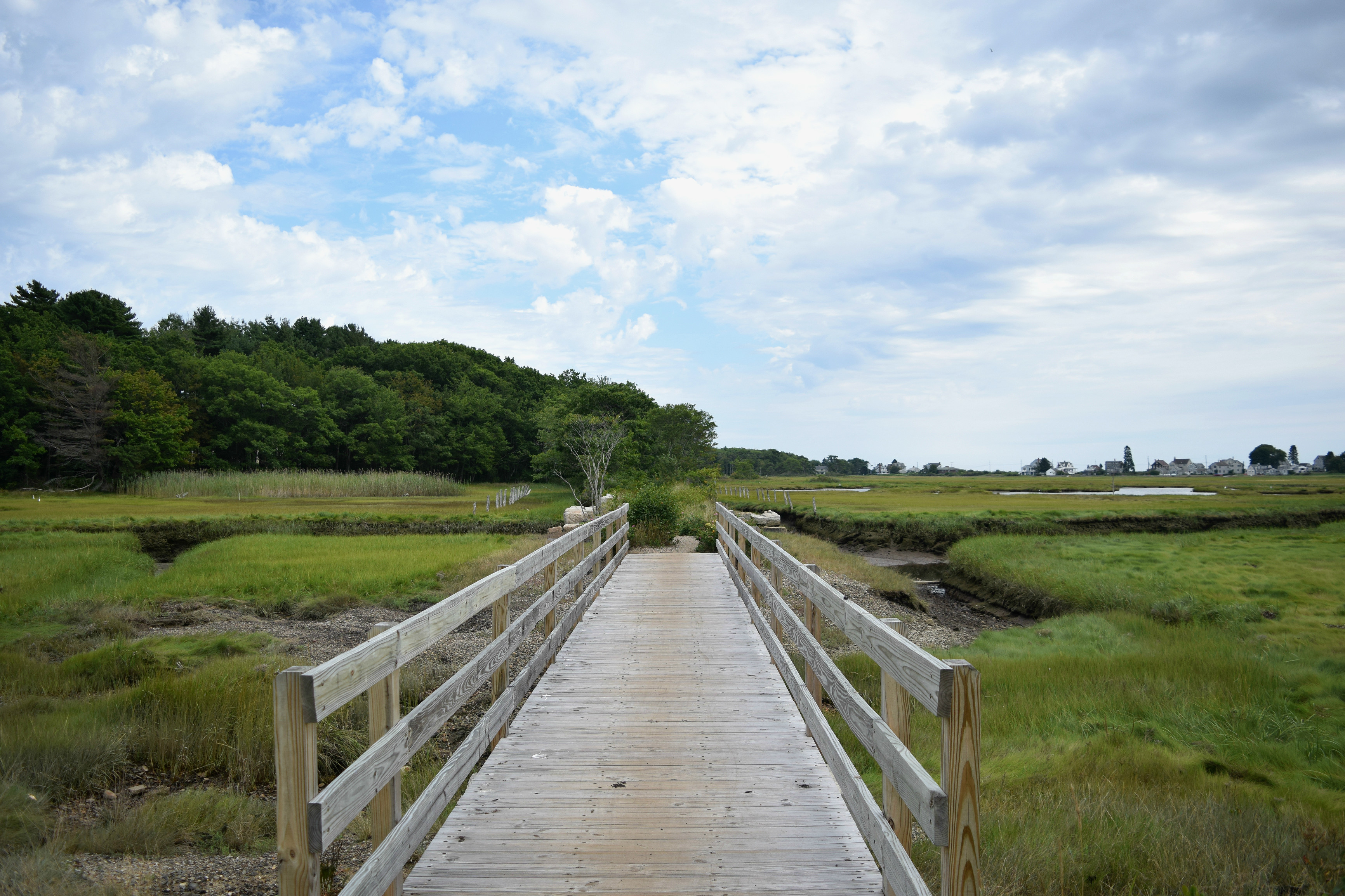 Photos: Hike the Bridle Path through the Madelyn Marx Preserve ...