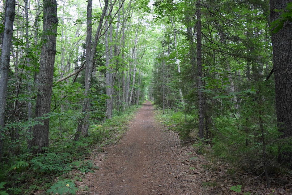 Hike the Bridle Path through the Madelyn Marx Preserve, Maine