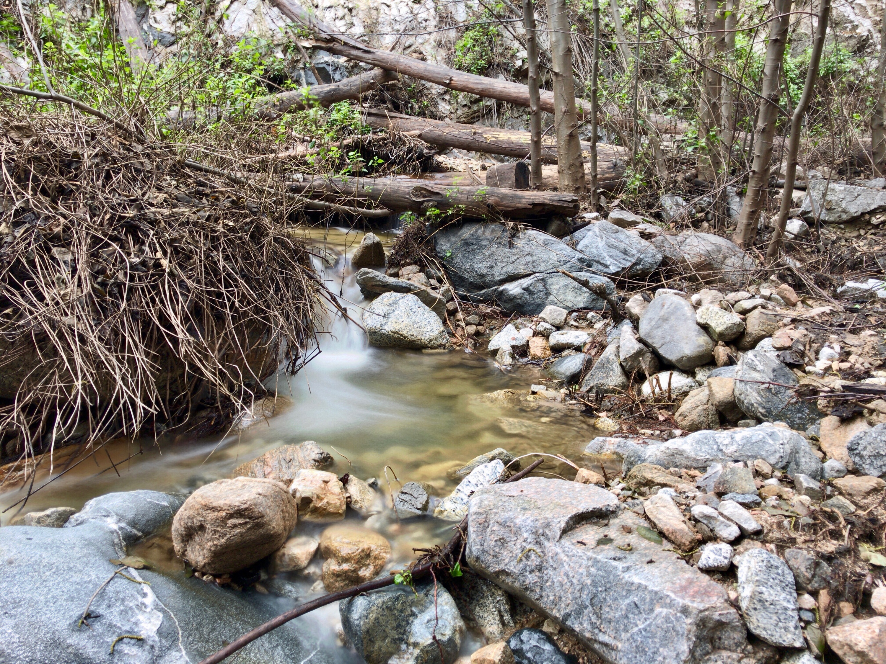Millard Falls, Altadena, California