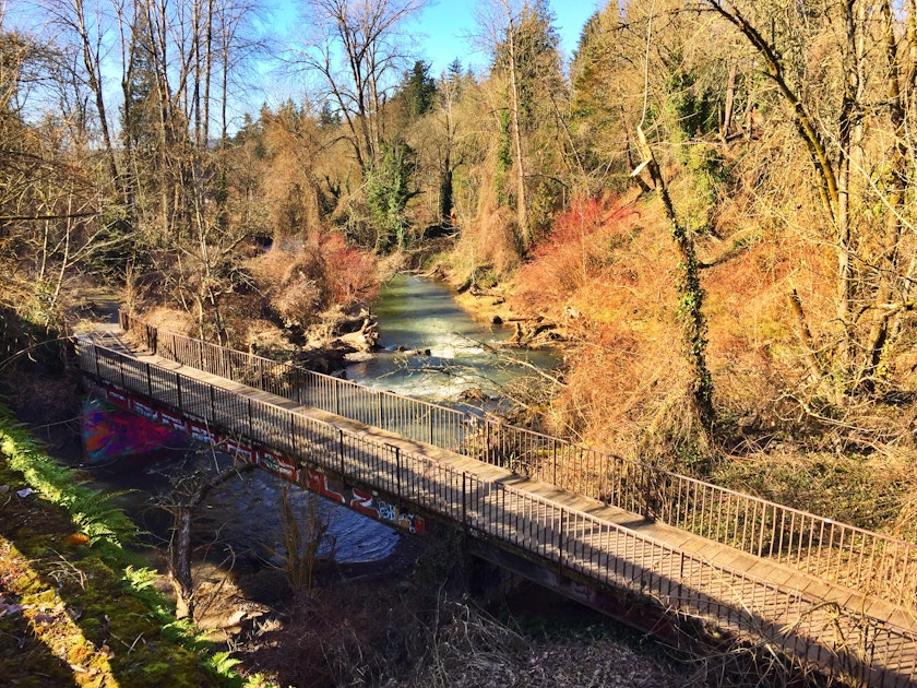 Run Springwater Corridor Trail, Oregon