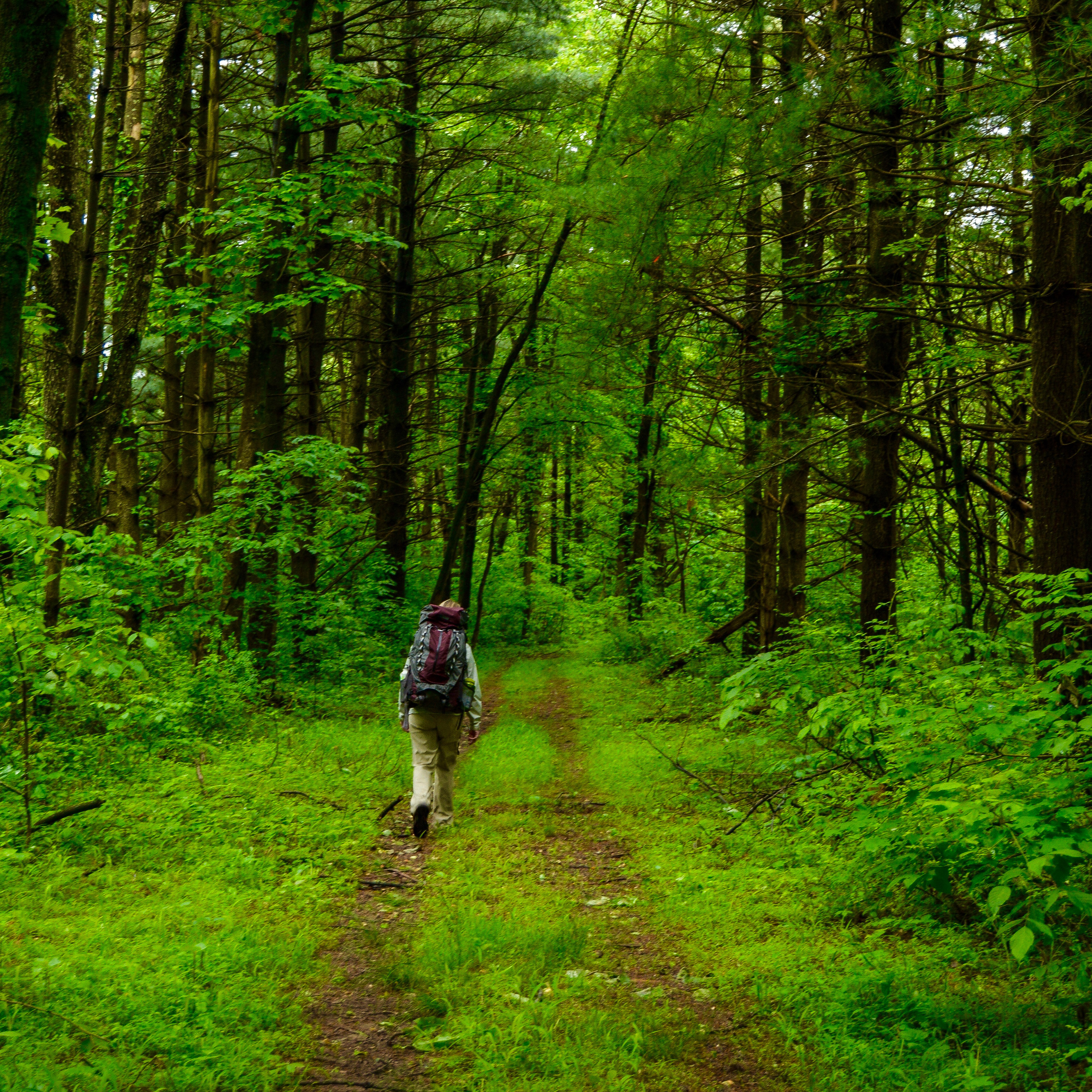 Backpack the Two Lakes Loop Trail, Hoosier NF, Bristow, Indiana