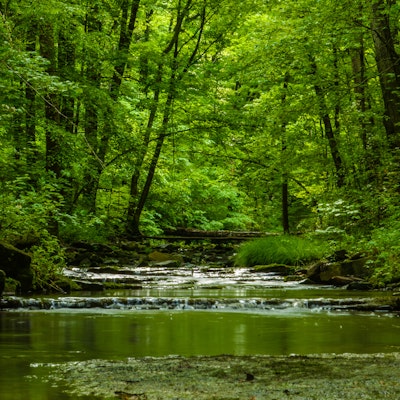 Backpack the Two Lakes Loop Trail, Hoosier NF, Two Lakes Loop Trail