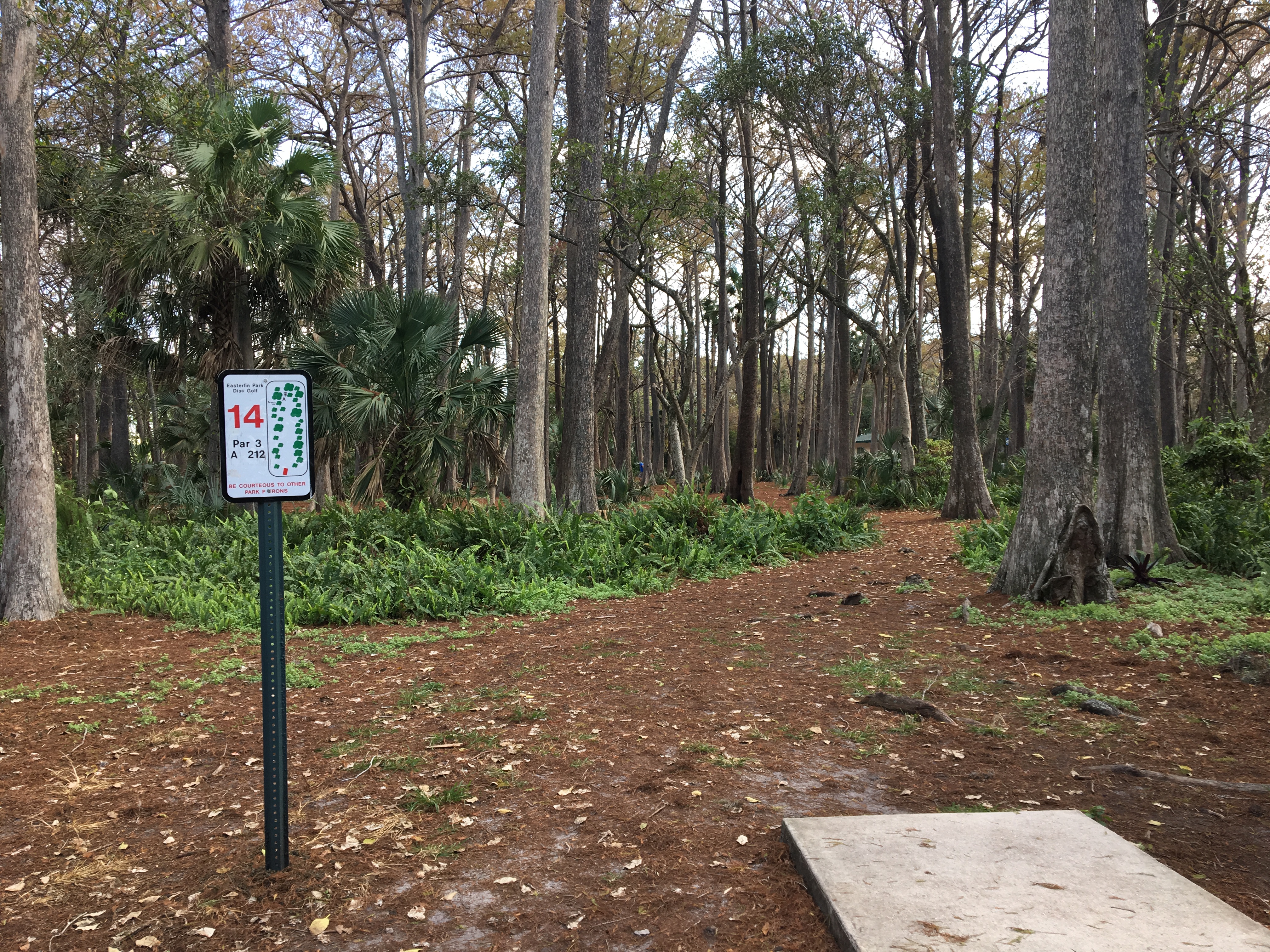 Frisbee Golf at Easterlin Park, Oakland Park, Florida