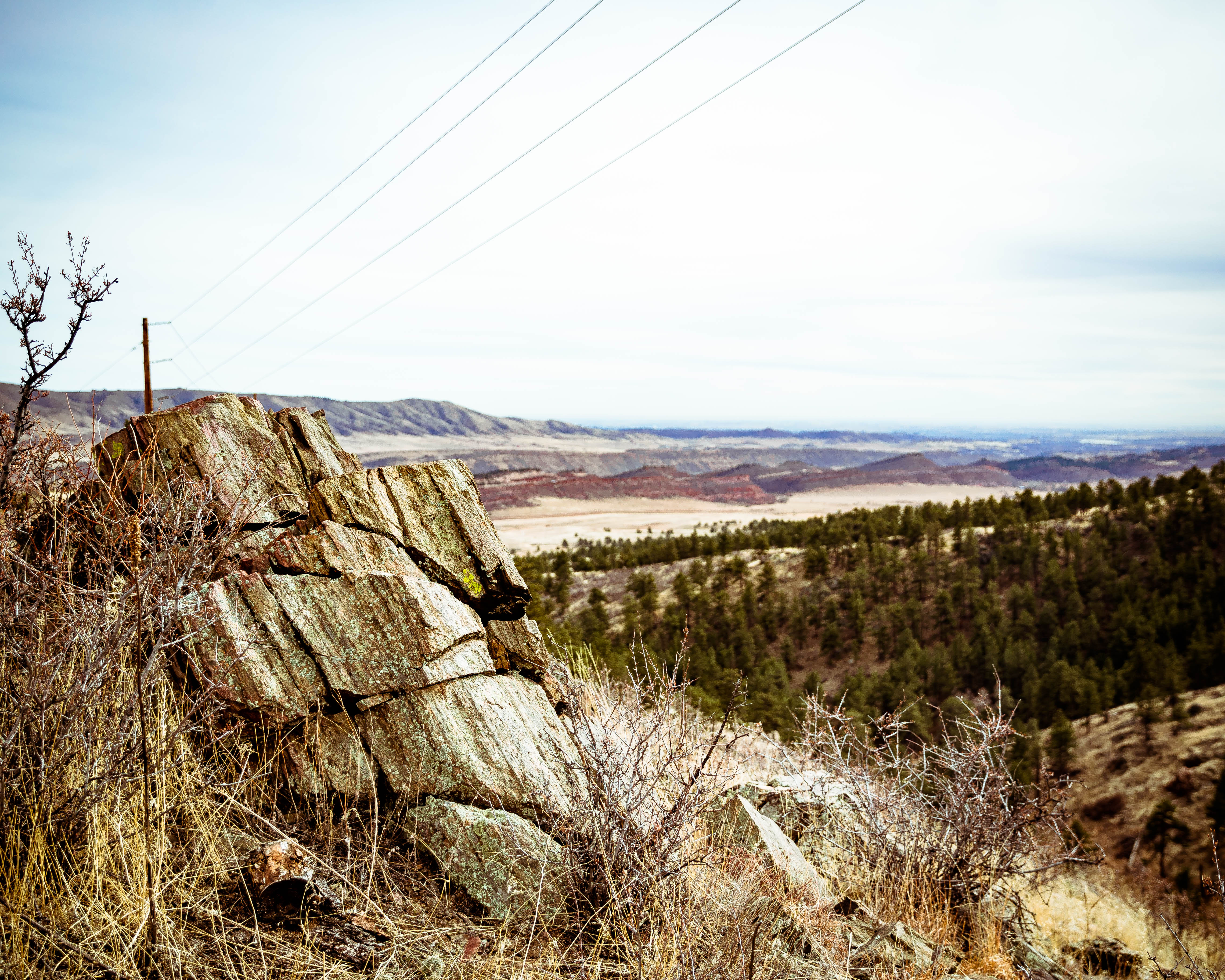 Hike the Powerline Trail in the Bobcat Ridge Natural Area, Loveland ...