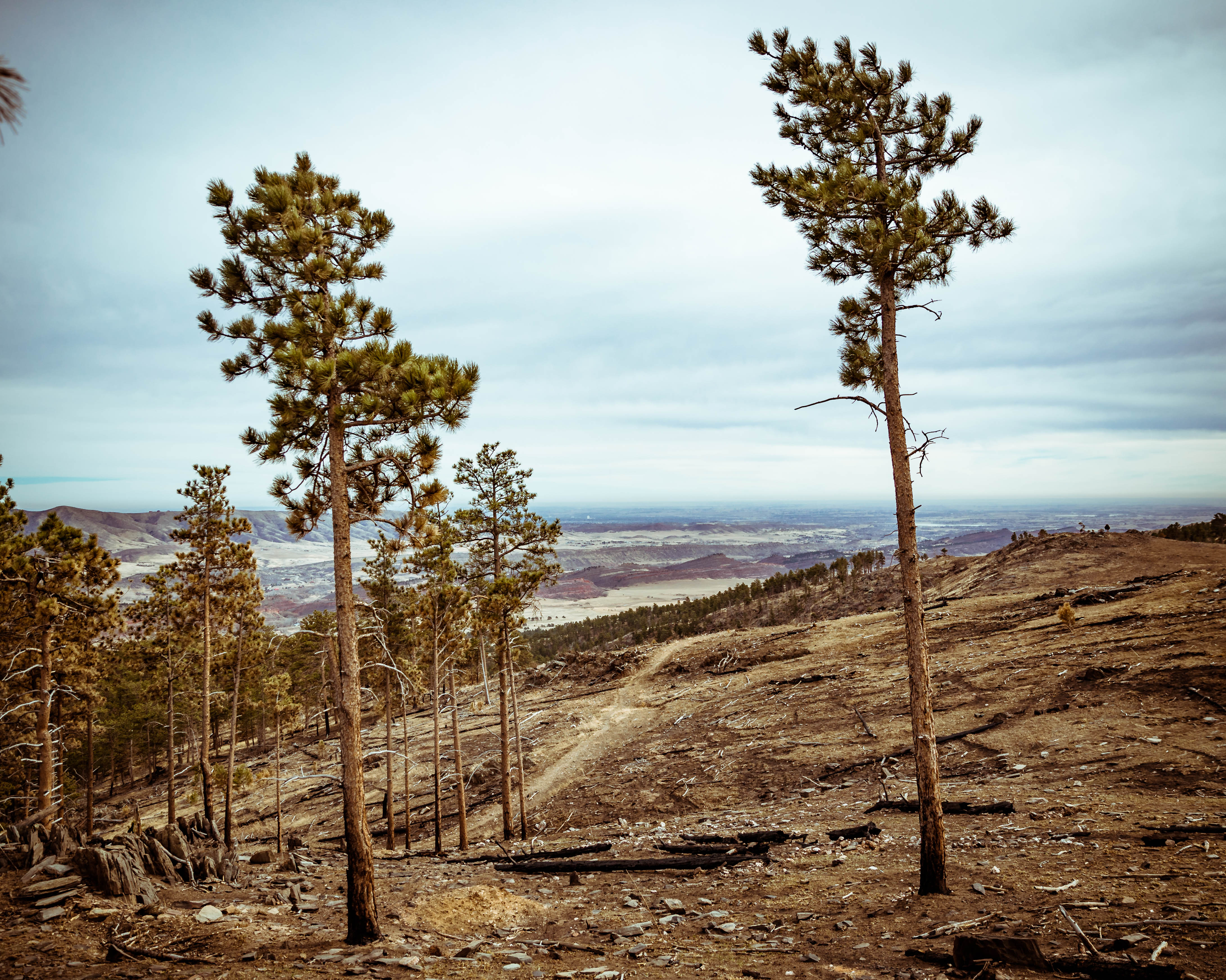 Hike the D.R. Trail in the Bobcat Ridge Natural Area, Loveland, Colorado