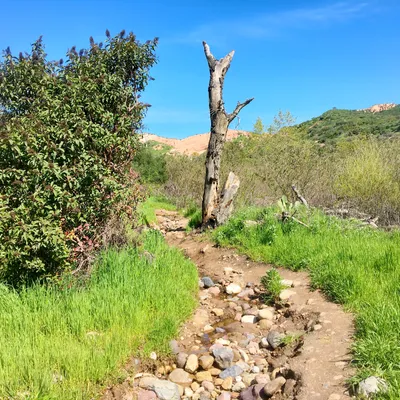 Hike Borrego Canyon to Red Rock Canyon Trails, Borrego Canyon Trail Head