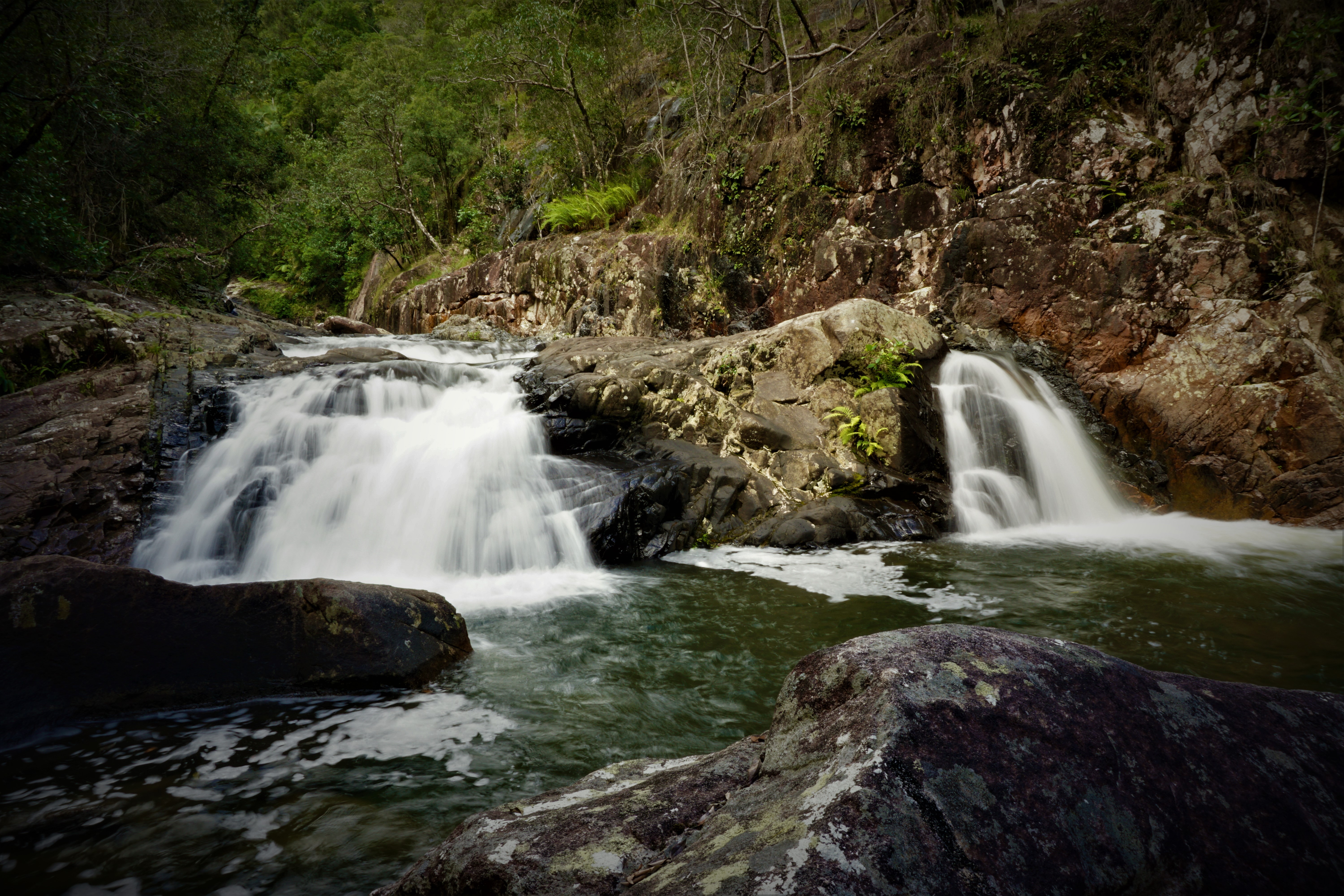 Hike the Finch Hatton Gorge, Finch Hatton, Queensland
