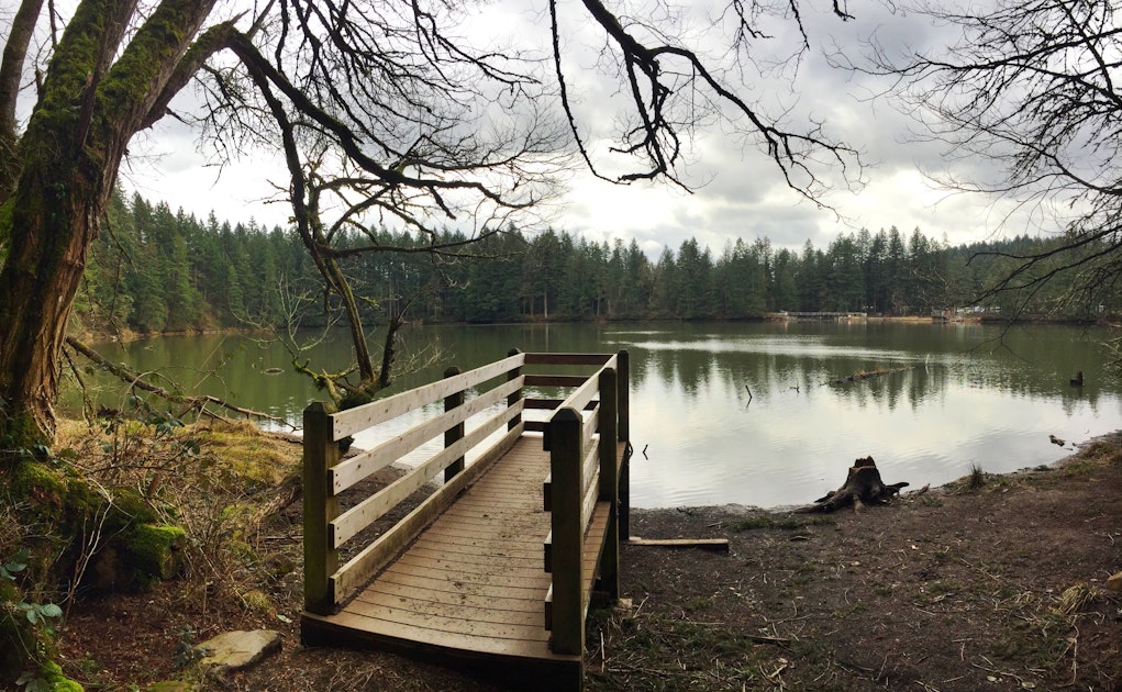 Run the Round Lake Loop at Lacamas Park, Camas, Washington