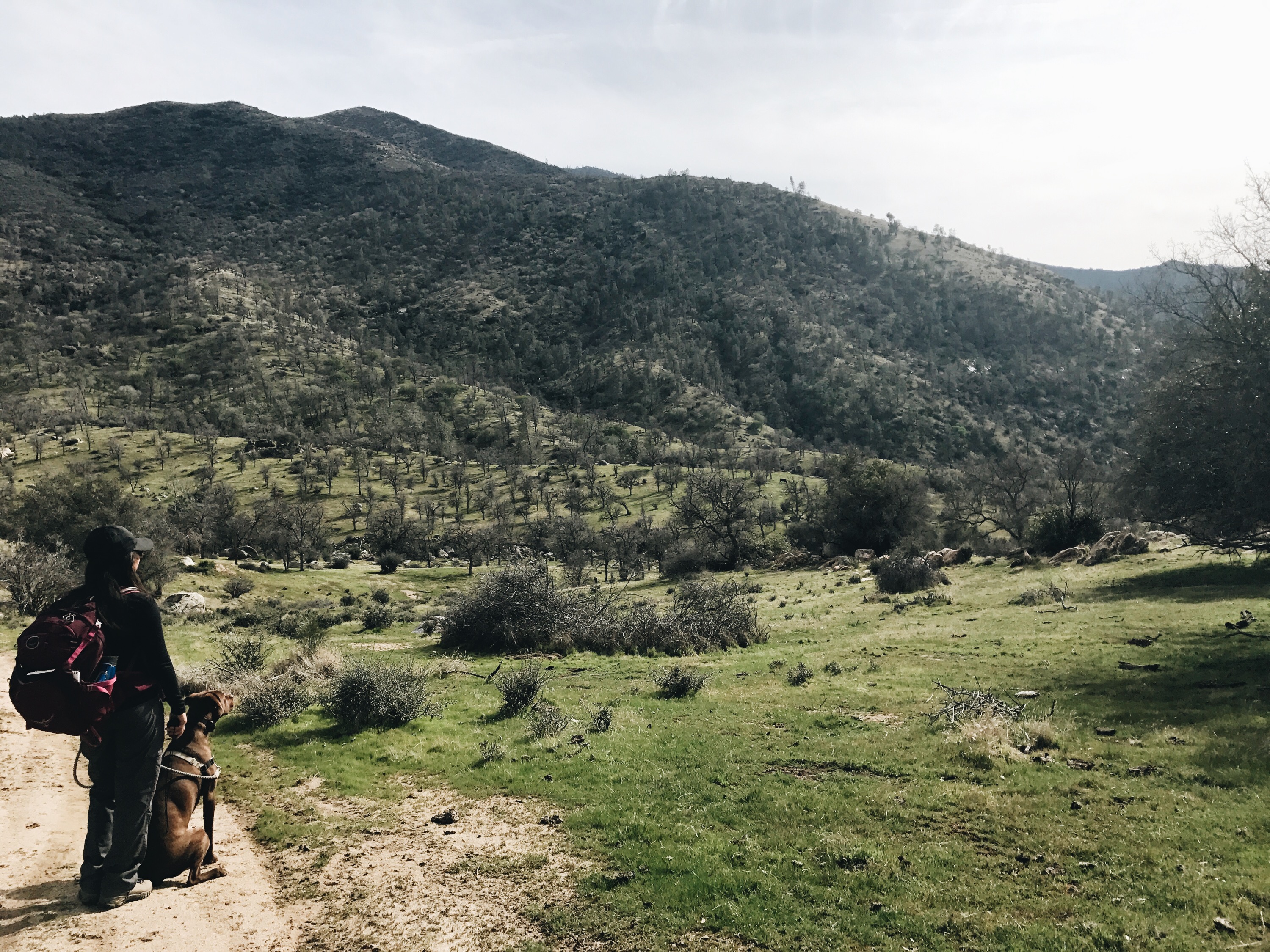 Remington Ridge Trail, Kern County, California