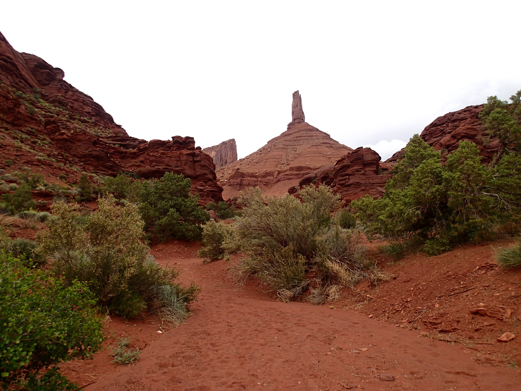 Hike to Castleton Tower, Moab, Utah