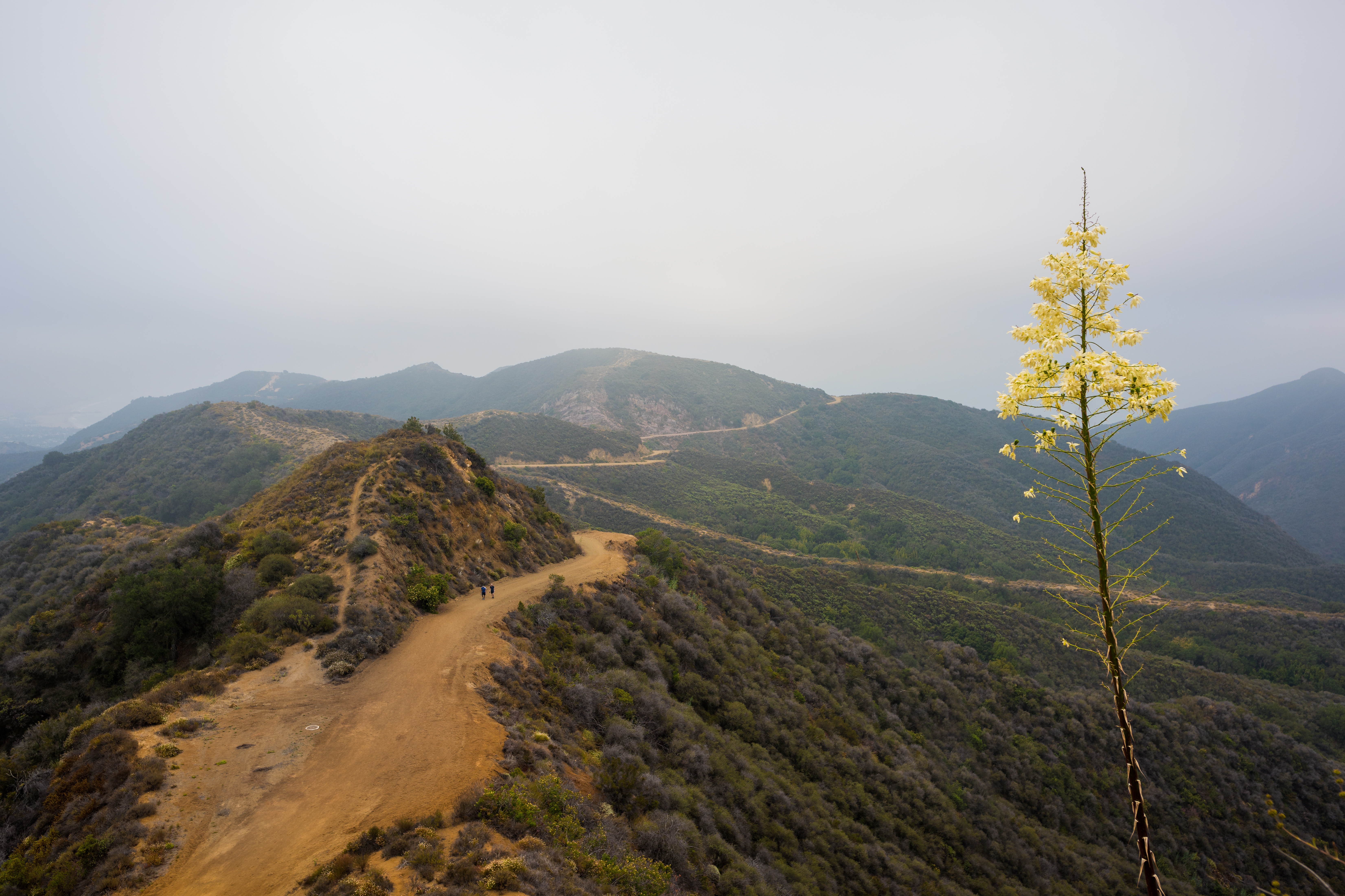 Parker Mesa Overlook via Trippet Ranch, Topanga, California